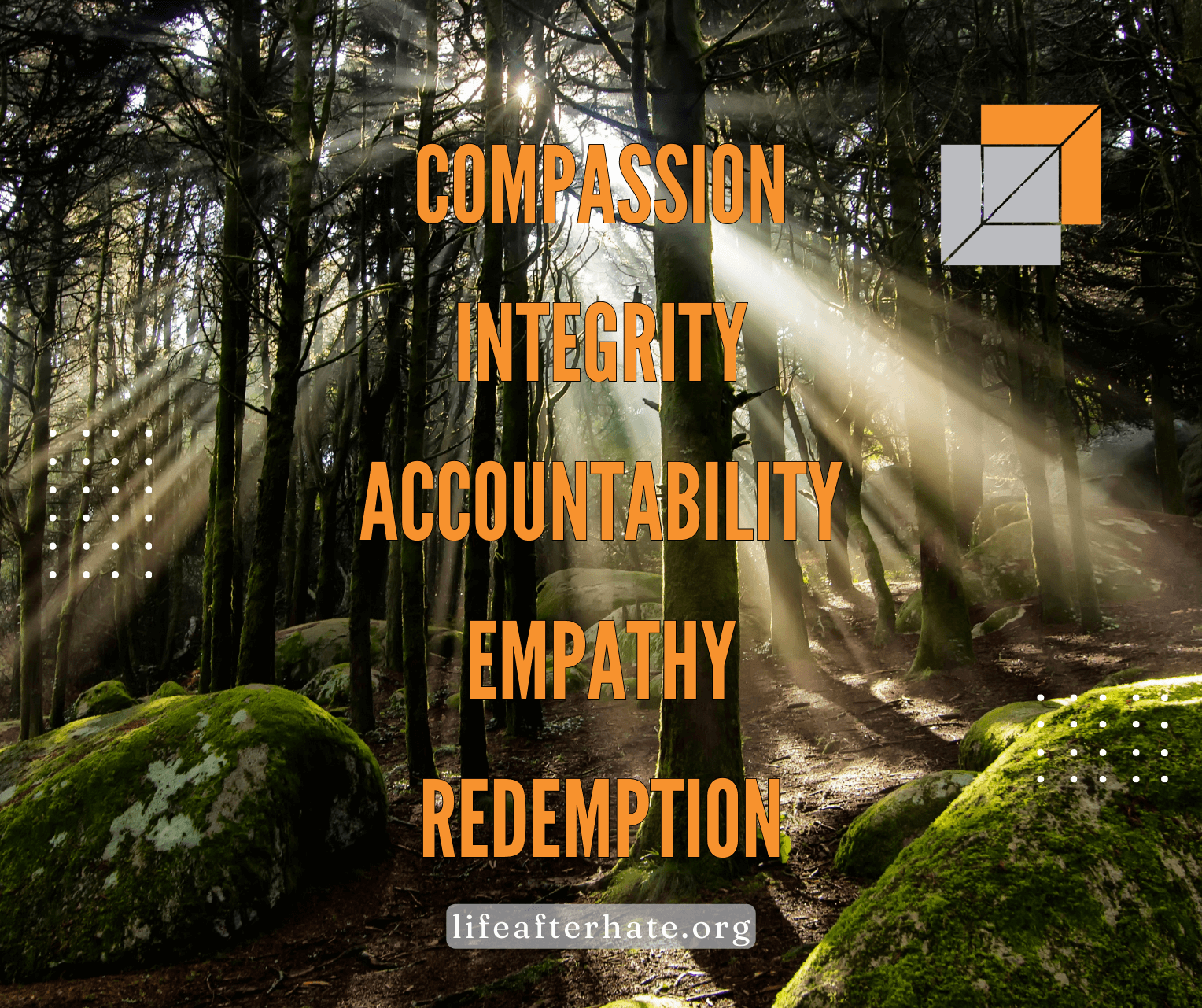 The Power of Our Core Values - Life After Hate